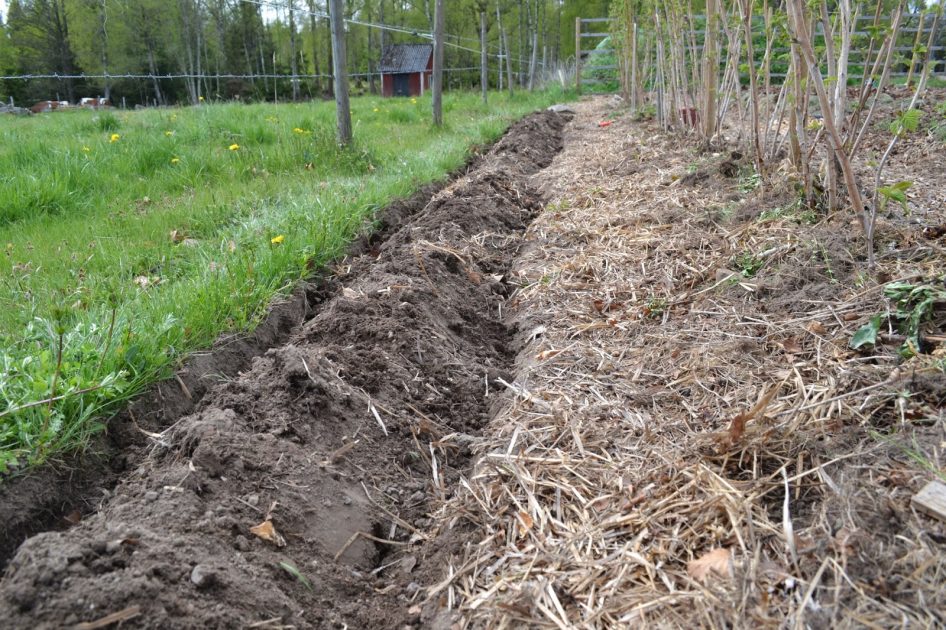Fixa kanten på enkelt sätt - Sara Bäckmo