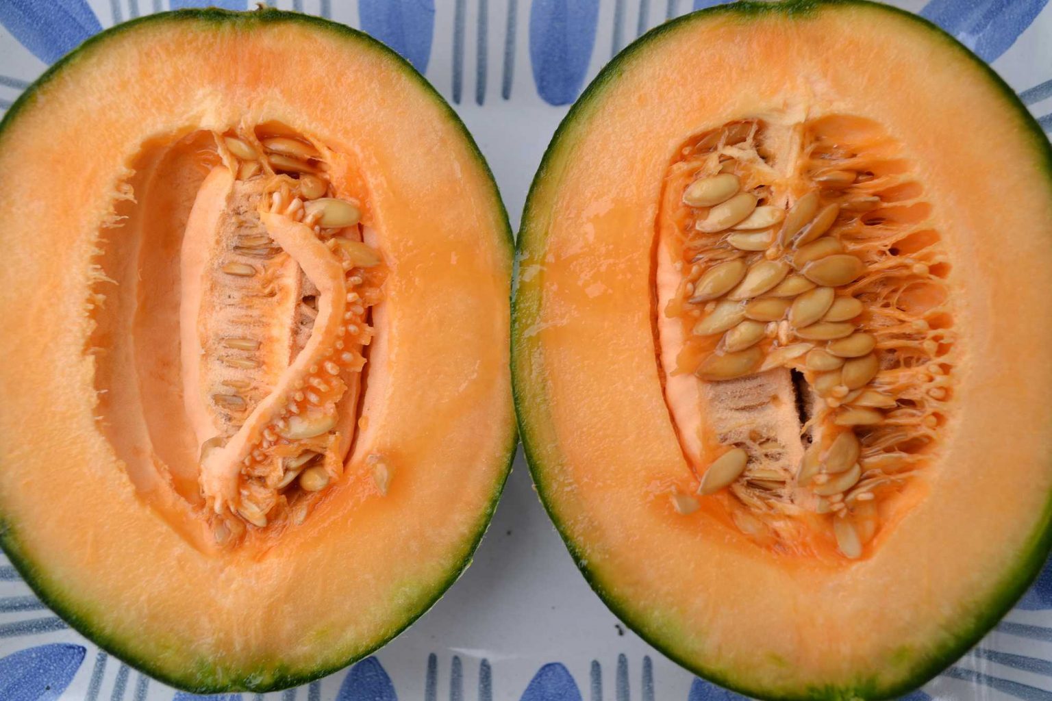 Melonerna är på väg upp - Sara Bäckmo