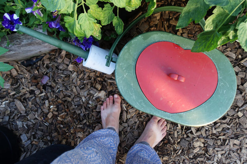 Fyra snabba gödsel till trädgården - Sara Bäckmo