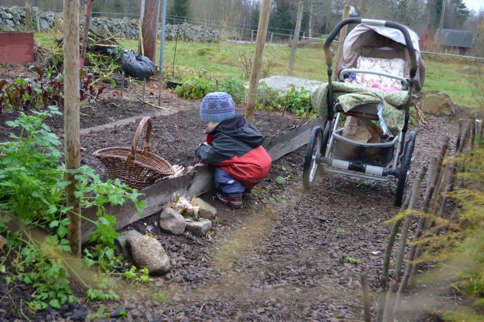 Manus till Odla med barn inskickat!!! - Sara Bäckmo
