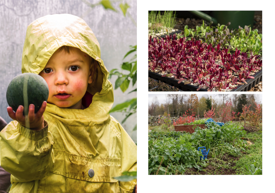Förköp av Odla med barn! - Sara Bäckmo
