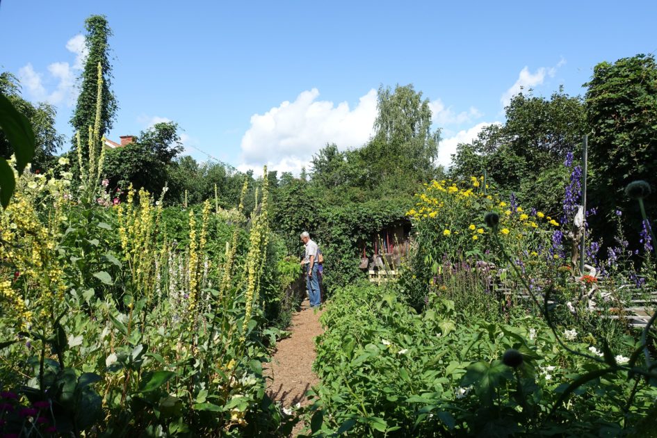 Video tour: An amazing mulched garden – Sara's Kitchen Garden