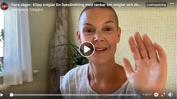 sarasager-20200629 - Sara Bäckmo