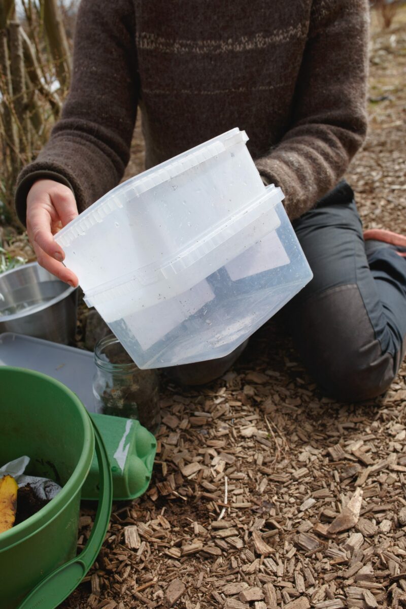 Gör en enkel maskkompost av godislådor - Sara Bäckmo
