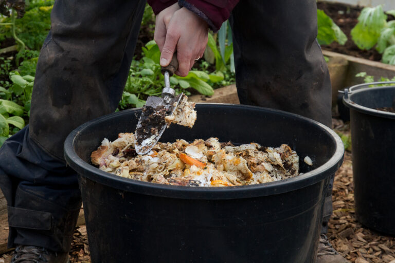 Kompostera hemma - spara pengar - Sara Bäckmo