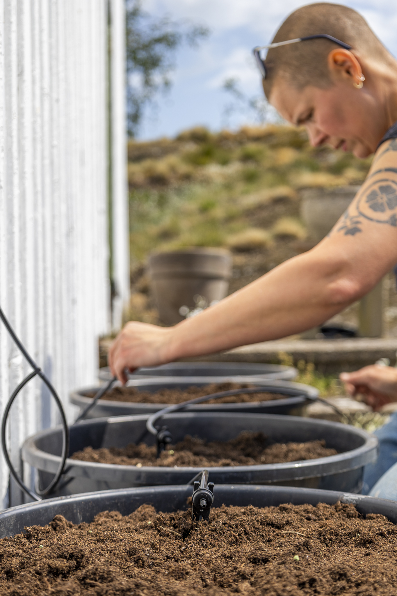 sarabackmo_skarvar_bevattning - Sara Bäckmo