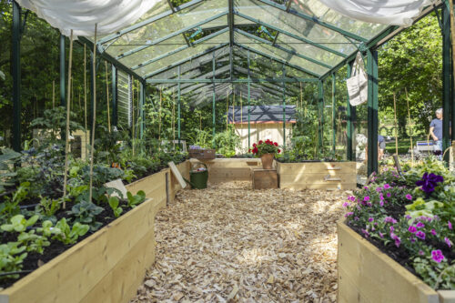 Tips för att odla i växthus - Sara Bäckmo