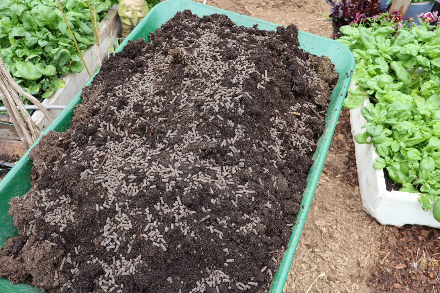 Återanvänd gammal jord i krukor - Sara Bäckmo