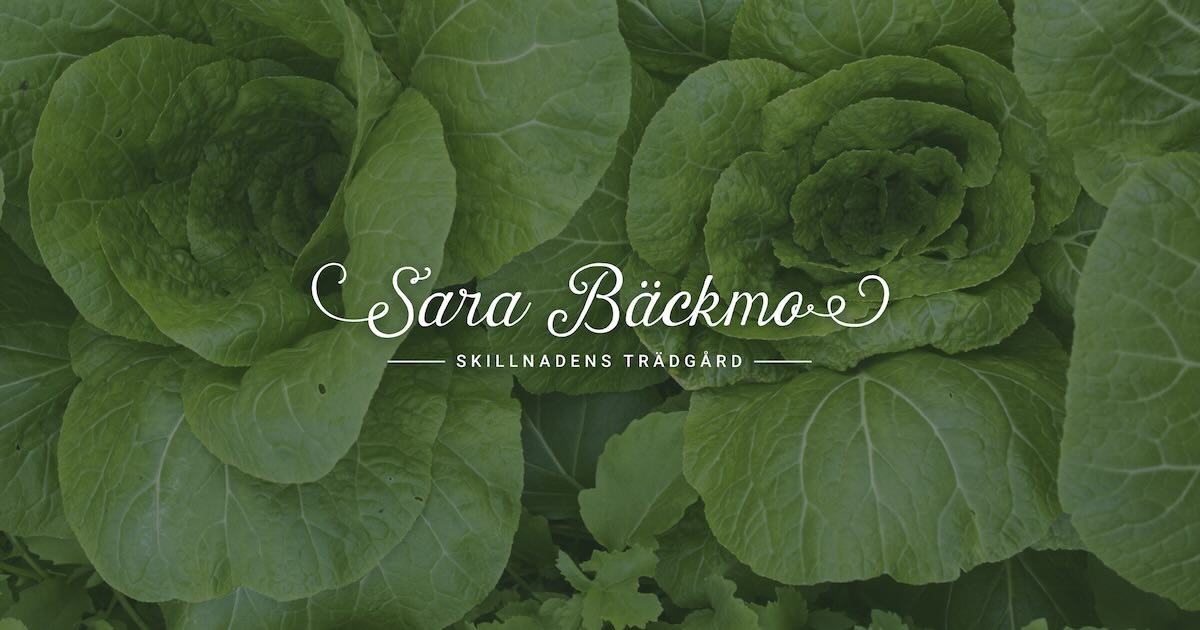 Krydd-kalender- arkiv - Sara Bäckmo