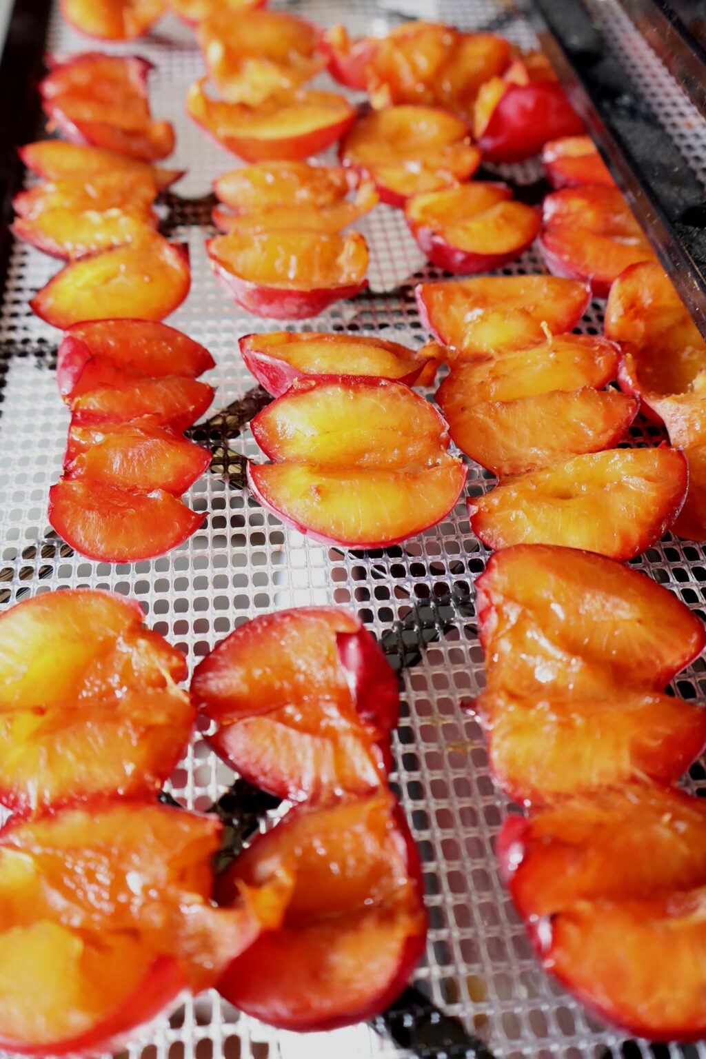 Torka frukt och bär - Sara Bäckmo