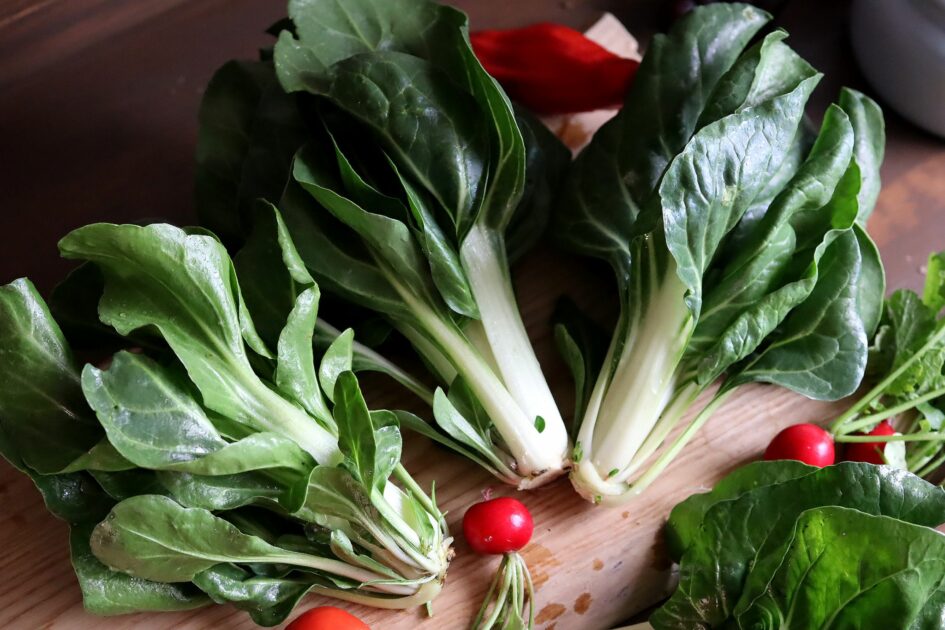 Mangold 'Barese' - Kompakt och matig - Sara Bäckmo